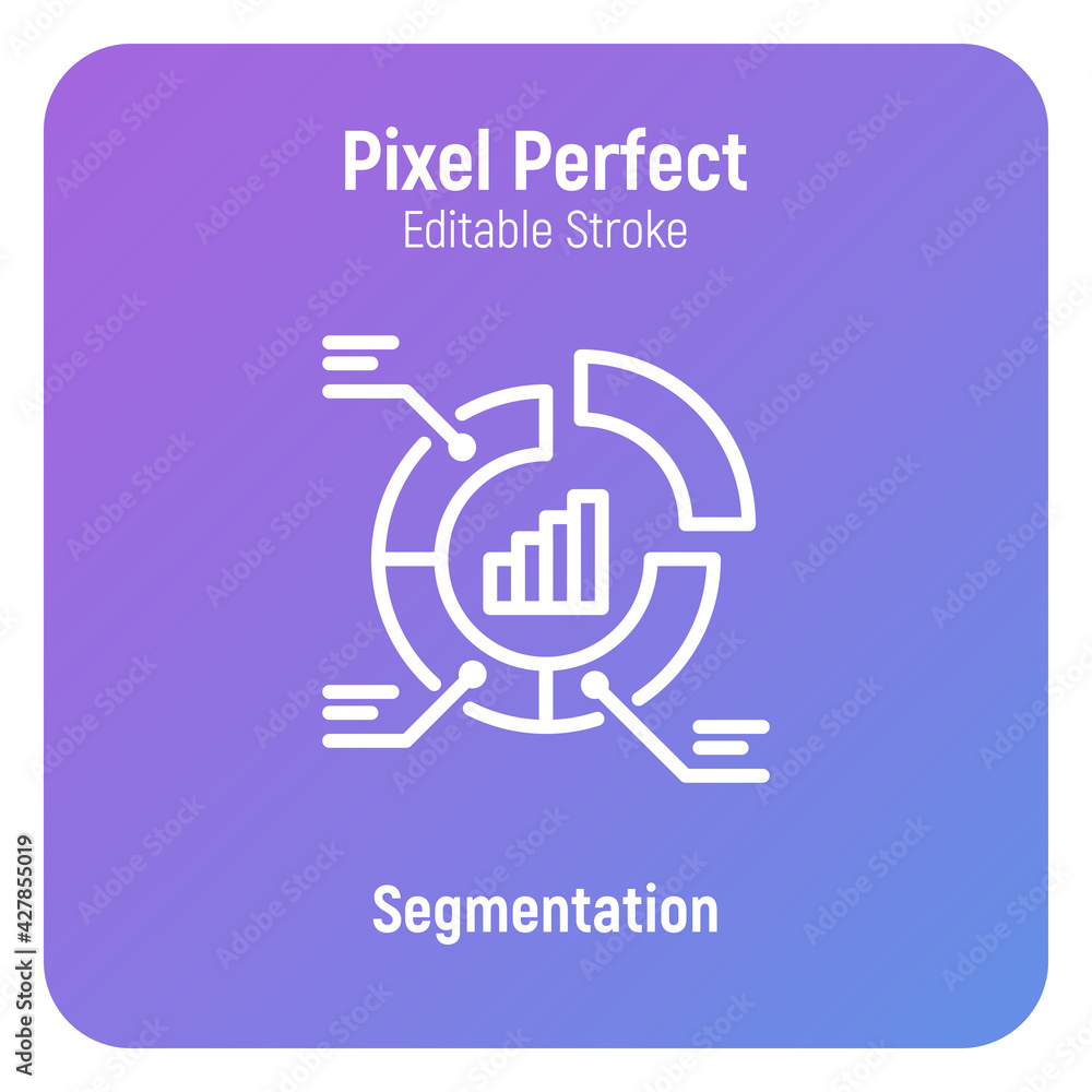 Audience segmentation thin line icon. Circle diagram with segments ...
