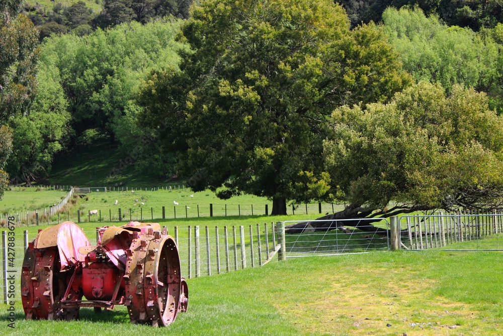 old red farm tractor in the green field with big tree background Stock ...