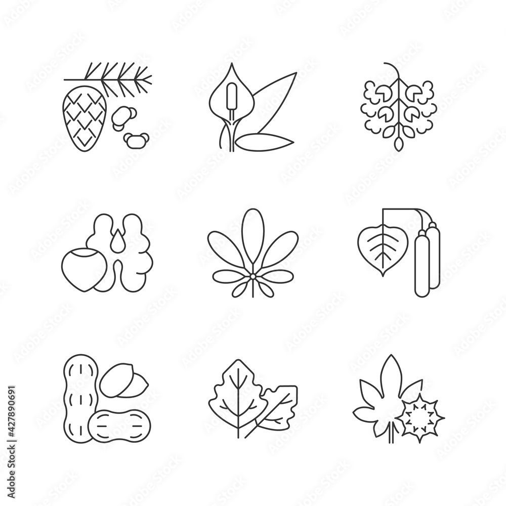 Allergens and allergy causes linear icons set. Cedar, pine tree pollen ...
