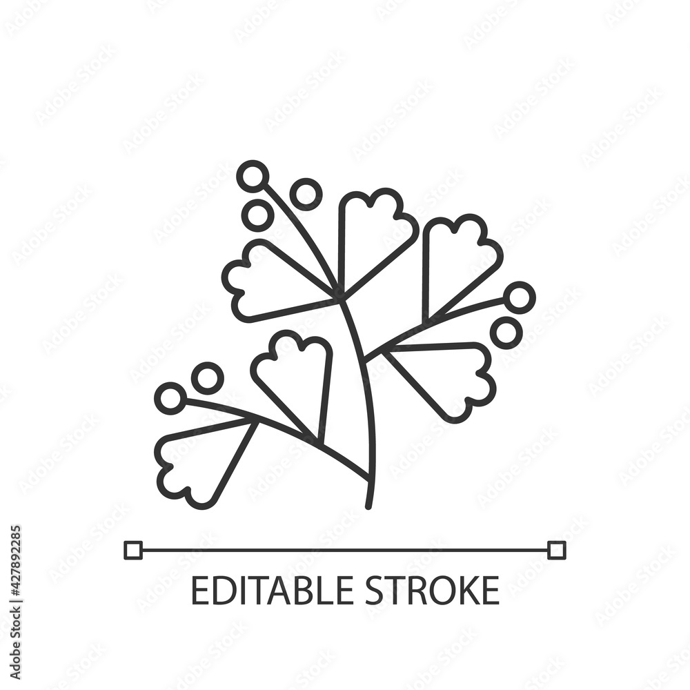 Sagebrush linear icon. Aromatic leaves. Medicinal herbs. Pollen ...