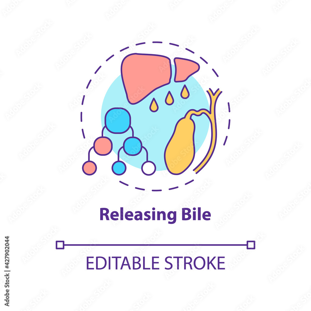 Releasing bile concept icon. Liver function idea thin line illustration ...
