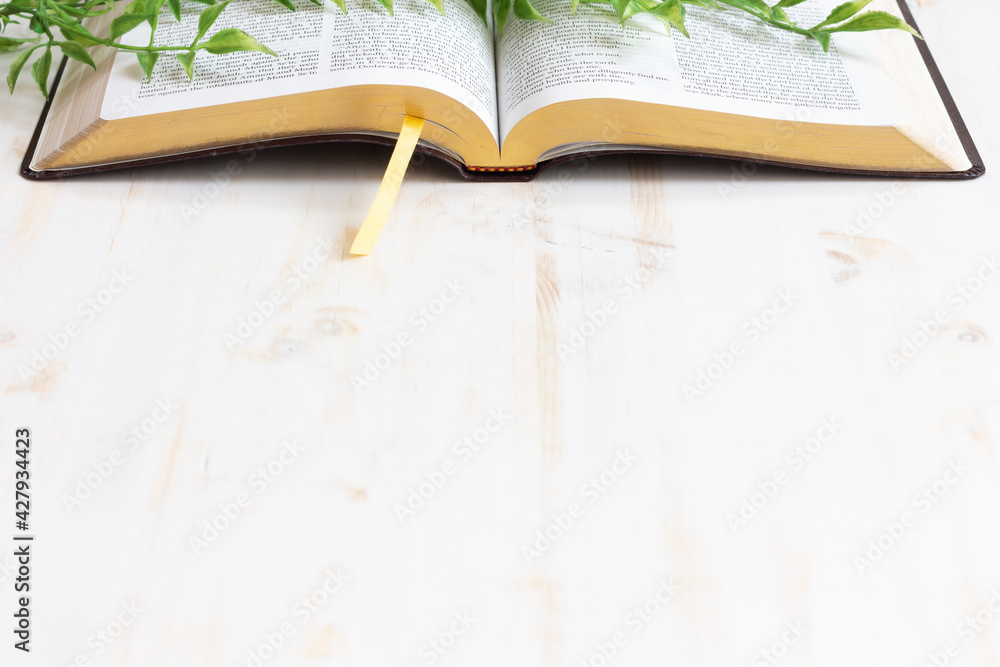 Open bible border on white wood with green vine with copy space Stock ...