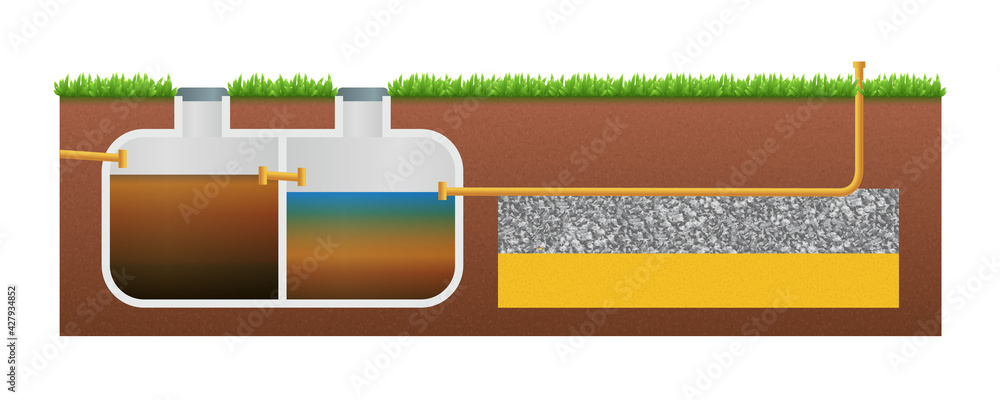 Vector scheme of a sewer septic tank with drainfield isolated on white ...