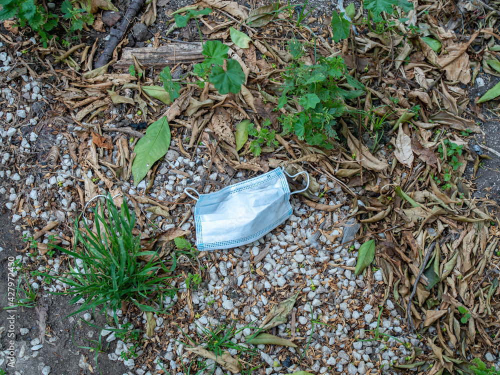 dirty face mask lying in the nature. concept of increased contagion of ...