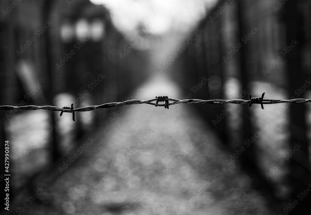 Holocaust Remembrance Day. Barbed-wire of the fence at the Auschwitz ...
