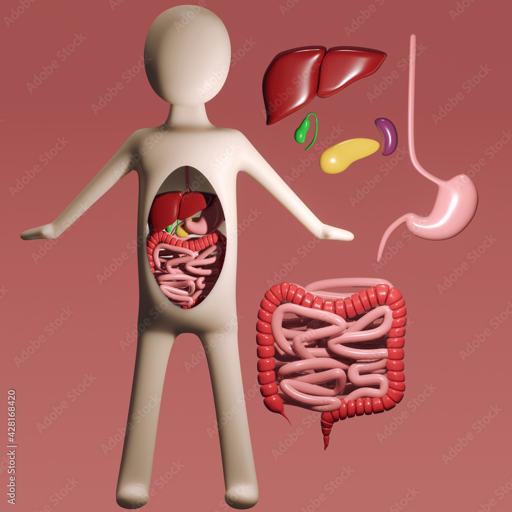 Cartoon human organs. 3D illustration for art projects, cards, business ...