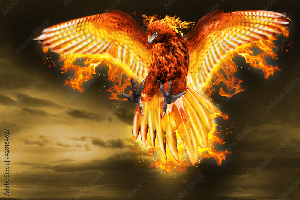 Phoenix swooping from a moody sky Stock Illustration | Adobe Stock