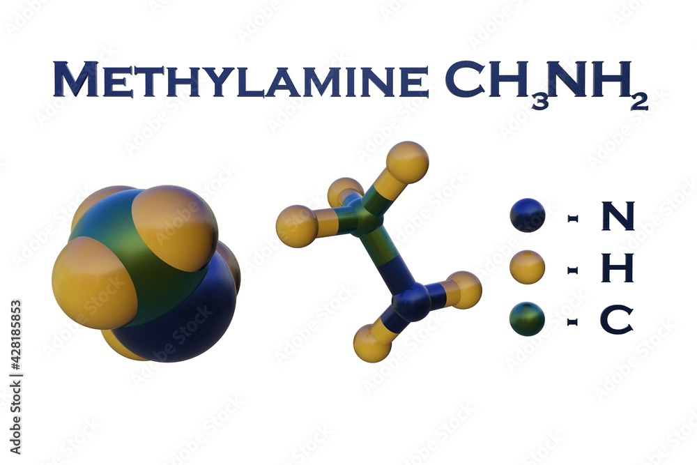 Structural chemical formula and molecular model of methylamine, a simple aliphatic primary amine ...