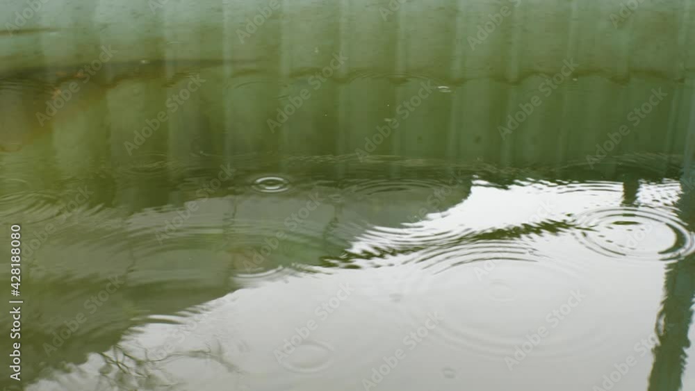 Drops of fine rain fall into the green stagnant water of the home pool ...