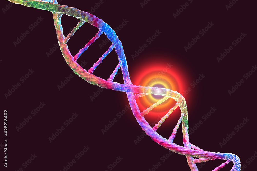 Genetic mutation, conceptual 3D illustration. Double stranded DNA with ...