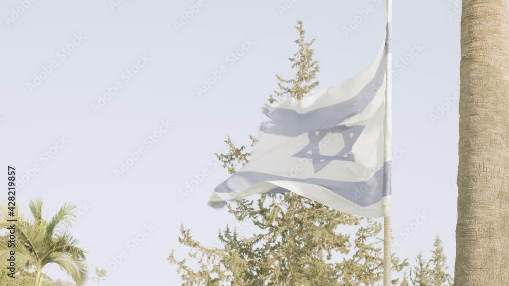 Israel flag waving in the wind, Sky, Sun and trees Background.The ...