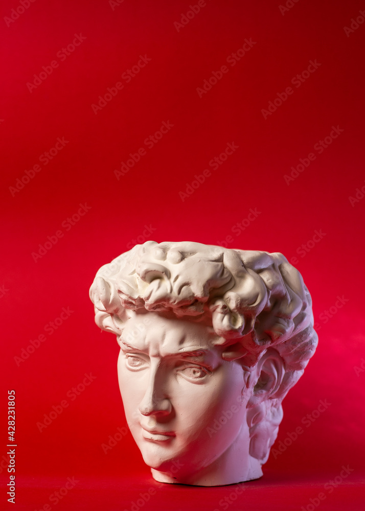 Gypsum statue of David's head. Michelangelo's David statue plaster copy ...