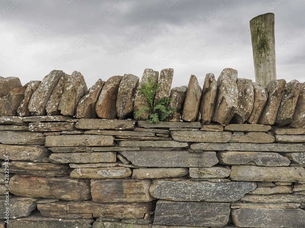 Dry stone wall boundary wall, made of stacked stones, Scotland Stock ...