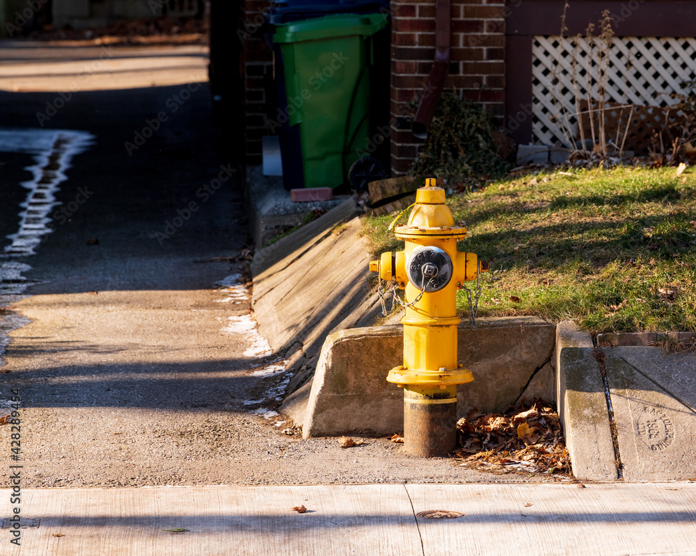 Fire hydrant (yellow) on an older street in Toronto's Beaches ...