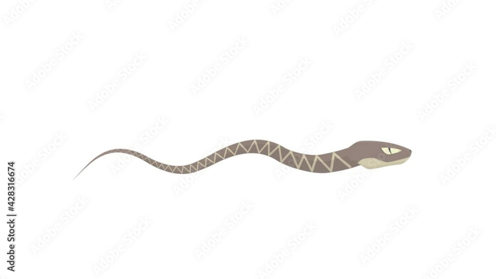 Snake. Animal snake animation, alpha channel enabled. Cartoon Stock ...