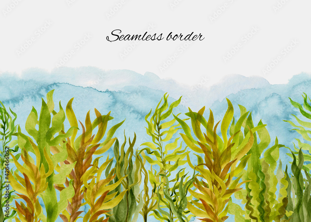Hand-drawn watercolor seamless border with algae, seaweed of different ...
