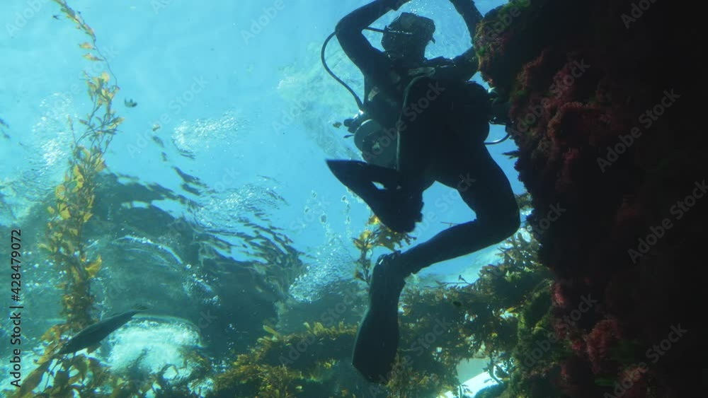 This underwater video shows a fully suited up scuba diver exploring a ...