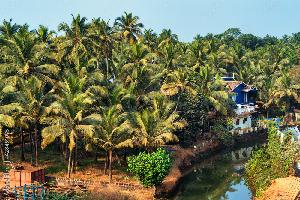 Canal River Near Home In Goa Indian State Stock Photo | Adobe Stock