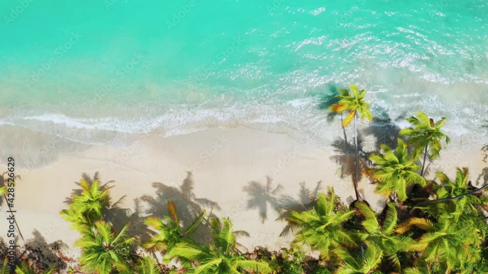 The tropical nature of a paradise island 4k background. Aerial view of ...