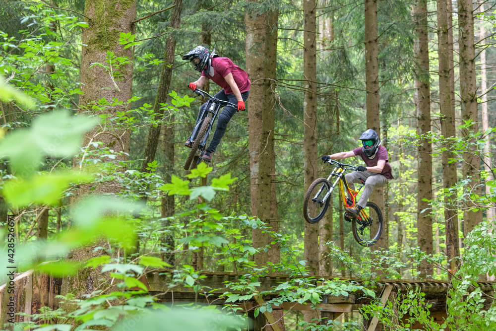 Tollkühne Mountainbiker springen gemeinsam über eine Rampe im Wald ...