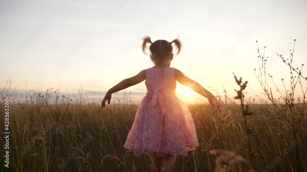 little girl baby walk a across the field in the park at sunset ...