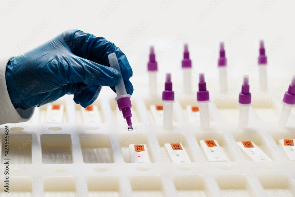 corona schnelltest, covid test Stock Photo | Adobe Stock