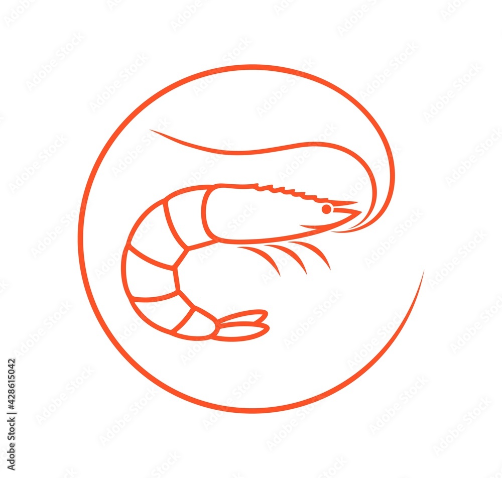 Shrimp outline. Isolated shrimp on white background. Prawns outline ...