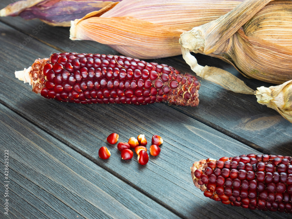 Dried Corn Cob