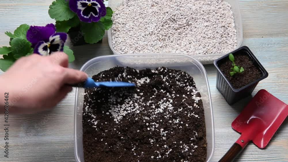 Mixing perlite granules pellets with black gardening soil improves ...