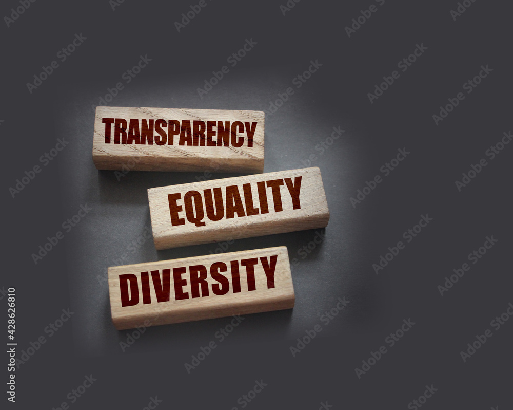 Transparency Equality diversity words on long wooden blocks on black ...