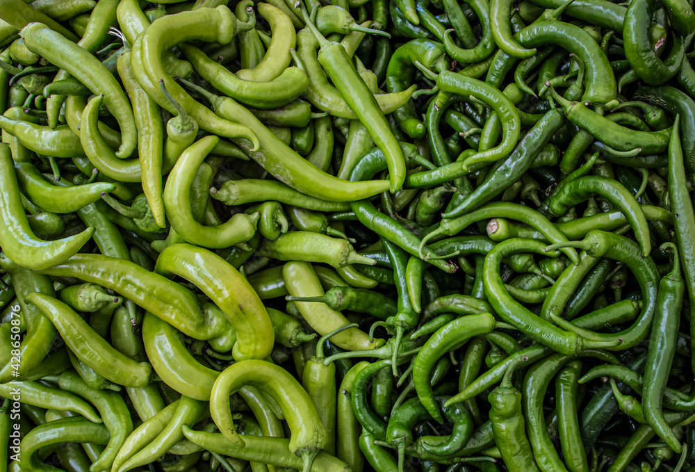 Large amounts of green chili peppers. Background, texture of green ...