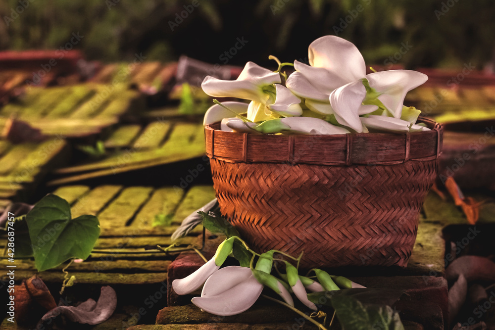 Bunga Turi (Sesbania grandiflora) on a bamboo basket. Bunga Turi is ...