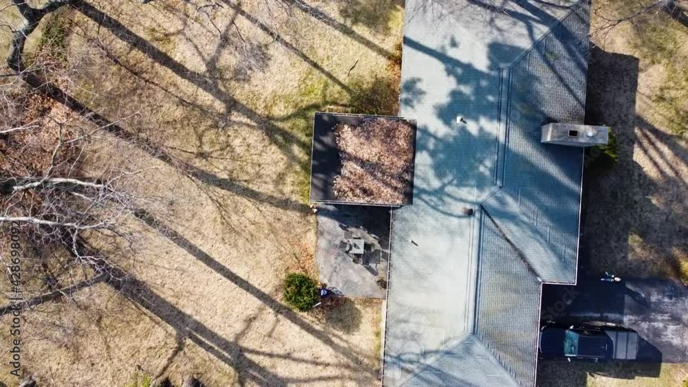 Early buds on Oak trees shown from drone perspective Bird's eye view ...