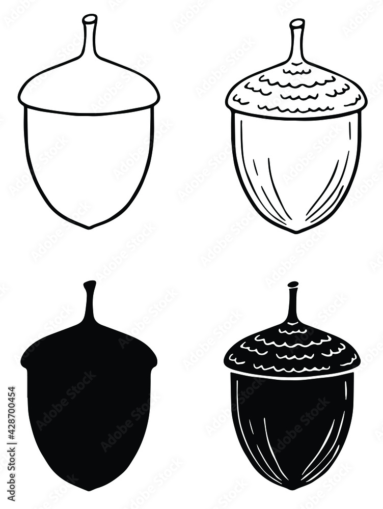Acorn Line Drawing & Silhouette Set - Vector Clipart Stock Vector ...