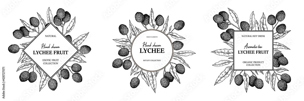 Set of hand drawn lychee designs for packaging, banners, advertising ...