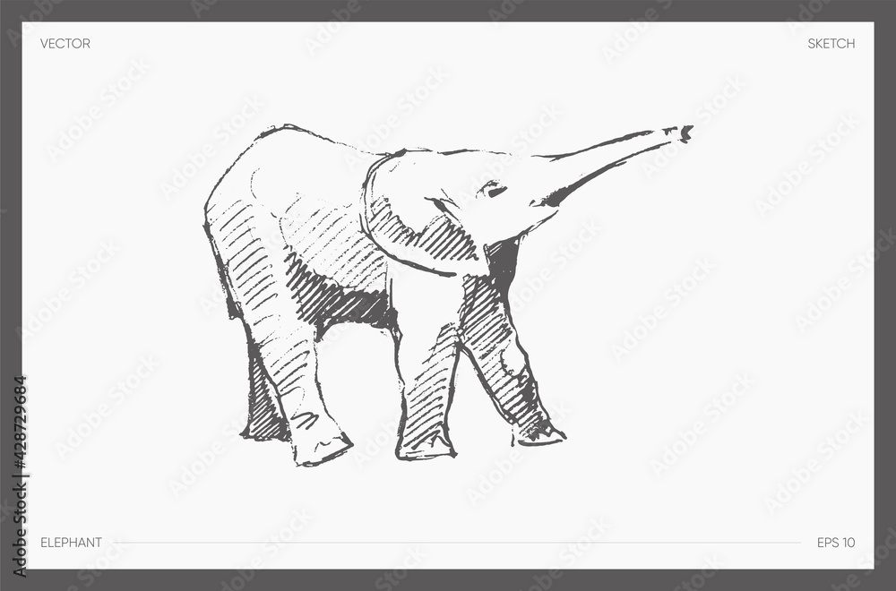 Hand drawn vector little elephant drawing sketch Stock Vector | Adobe Stock