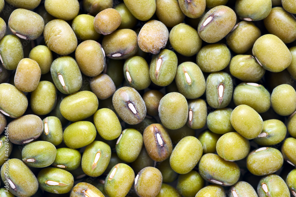 Bean mung agriculture green seeds closeup food texture background. Mung ...