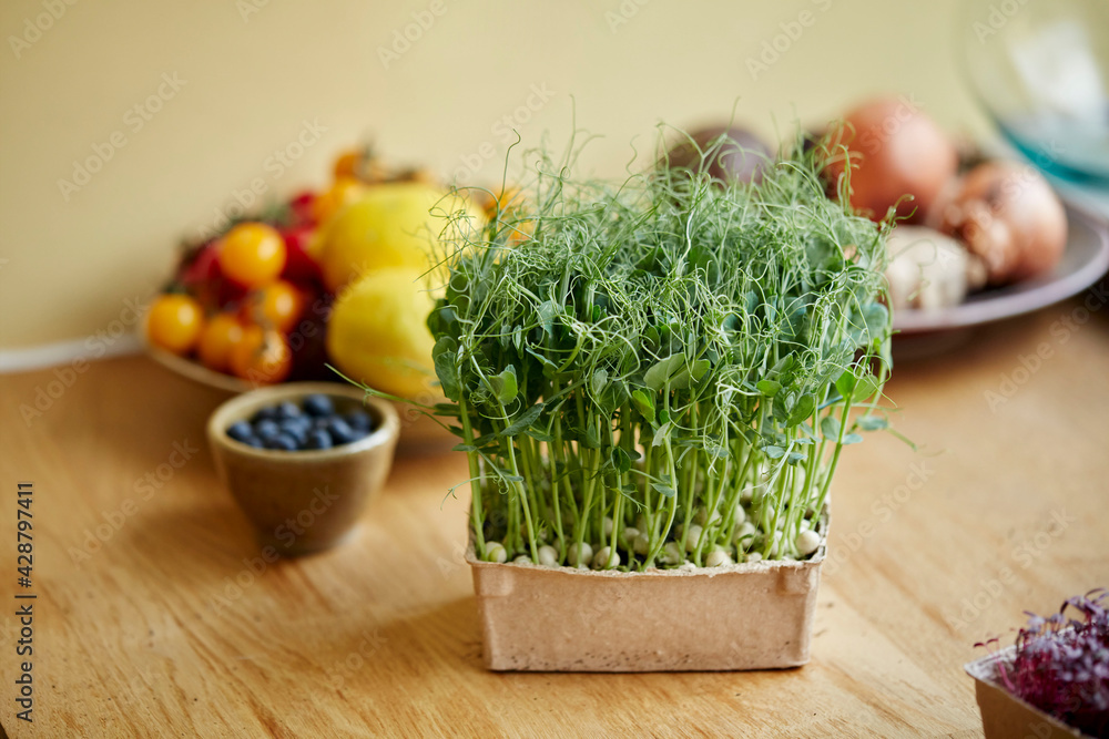 Microgreens growing in a tray Stock Photo | Adobe Stock
