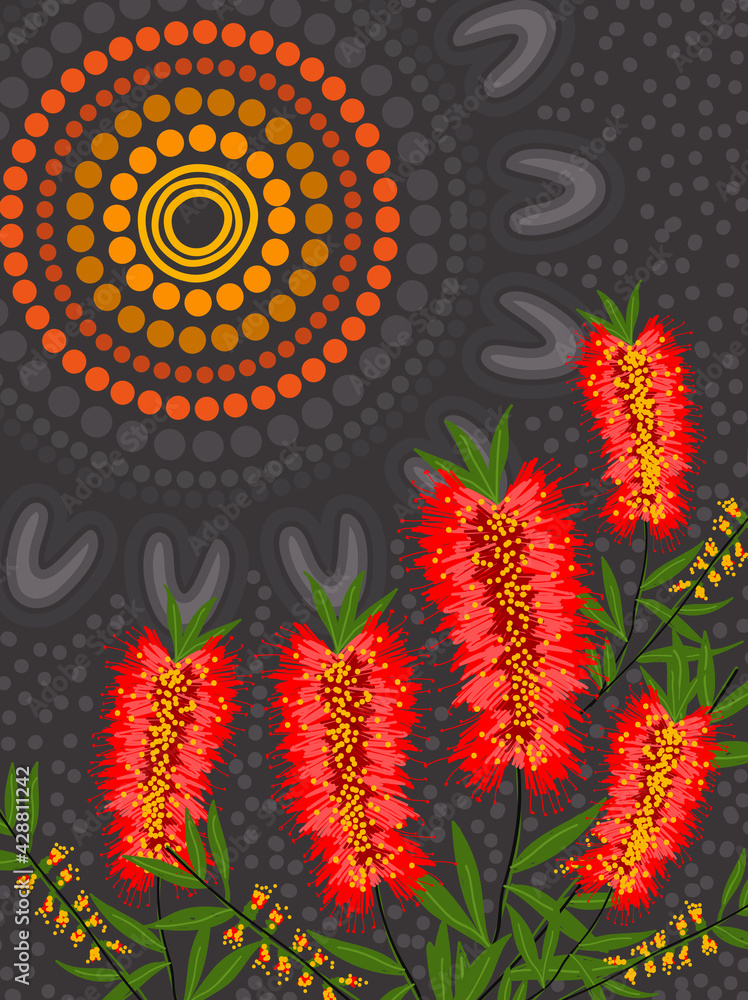 Red bottle brush medicine flowers - aboriginal nature art Stock ...