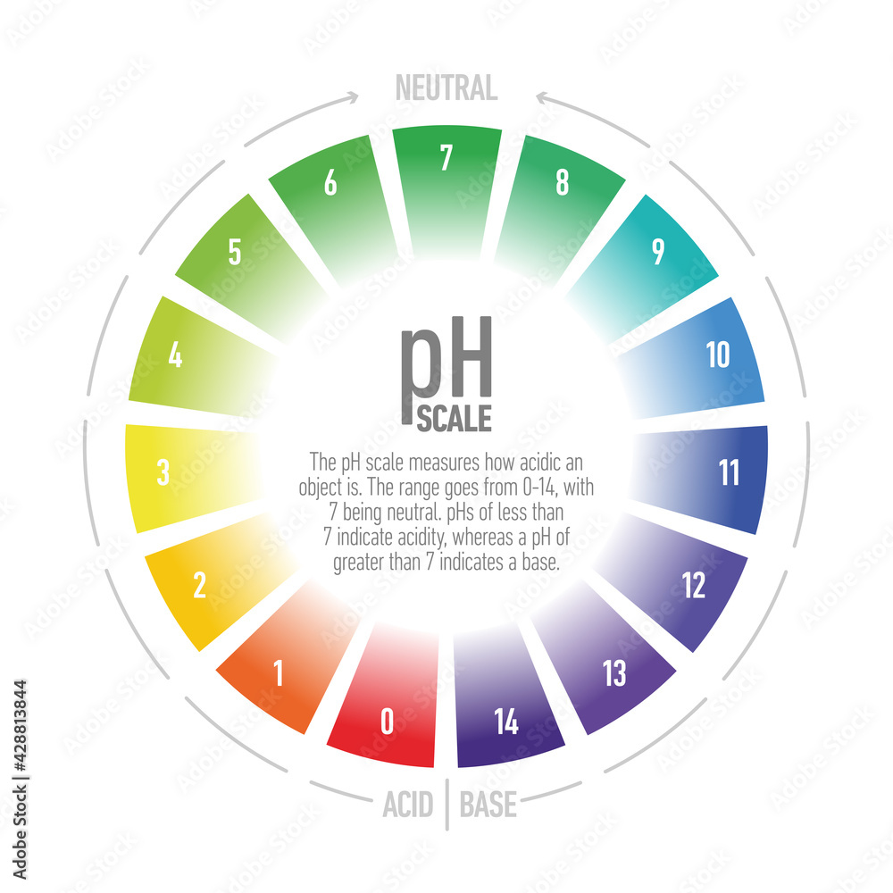 pH value scale from acid to base solutions, acid-base balance ...