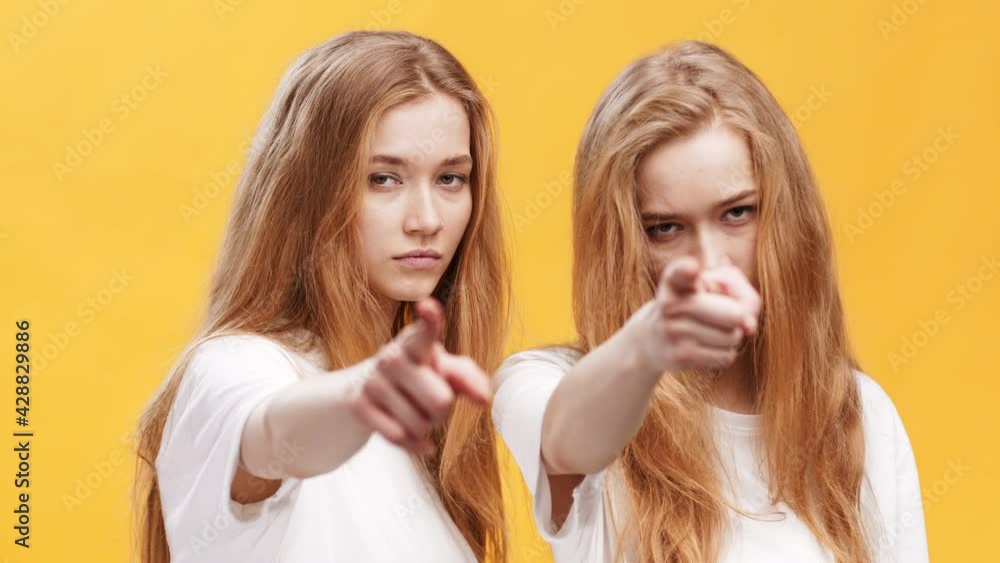 Its your fault. Two serious redhaired twin sisters pointing fingers to ...