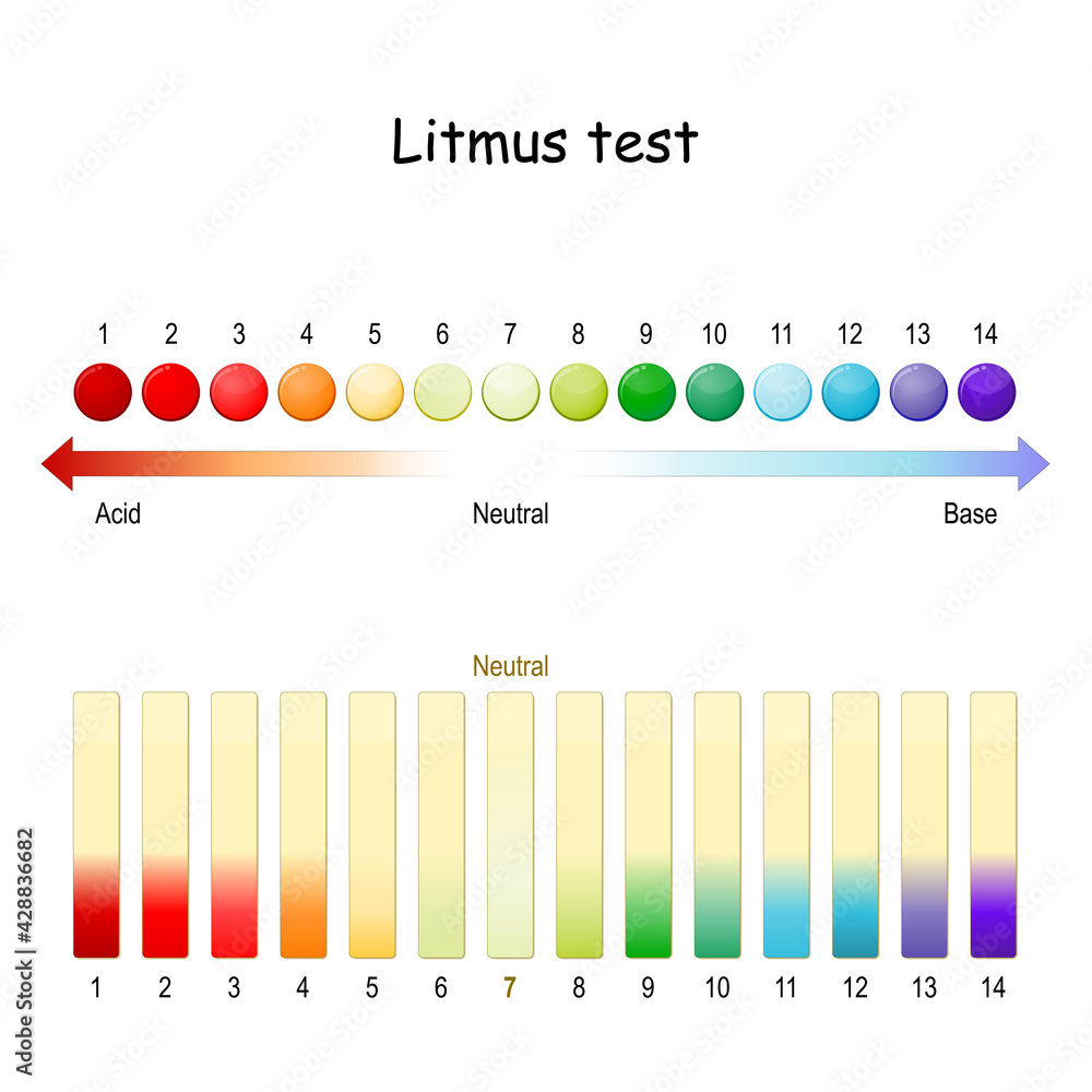 Litmus Test Ph Scale Use Of Litmus Paper Vector De Stock Adobe Stock litmus-test-ph-scale-use-of-litmus-paper-vector-de-stock-adobe-stock