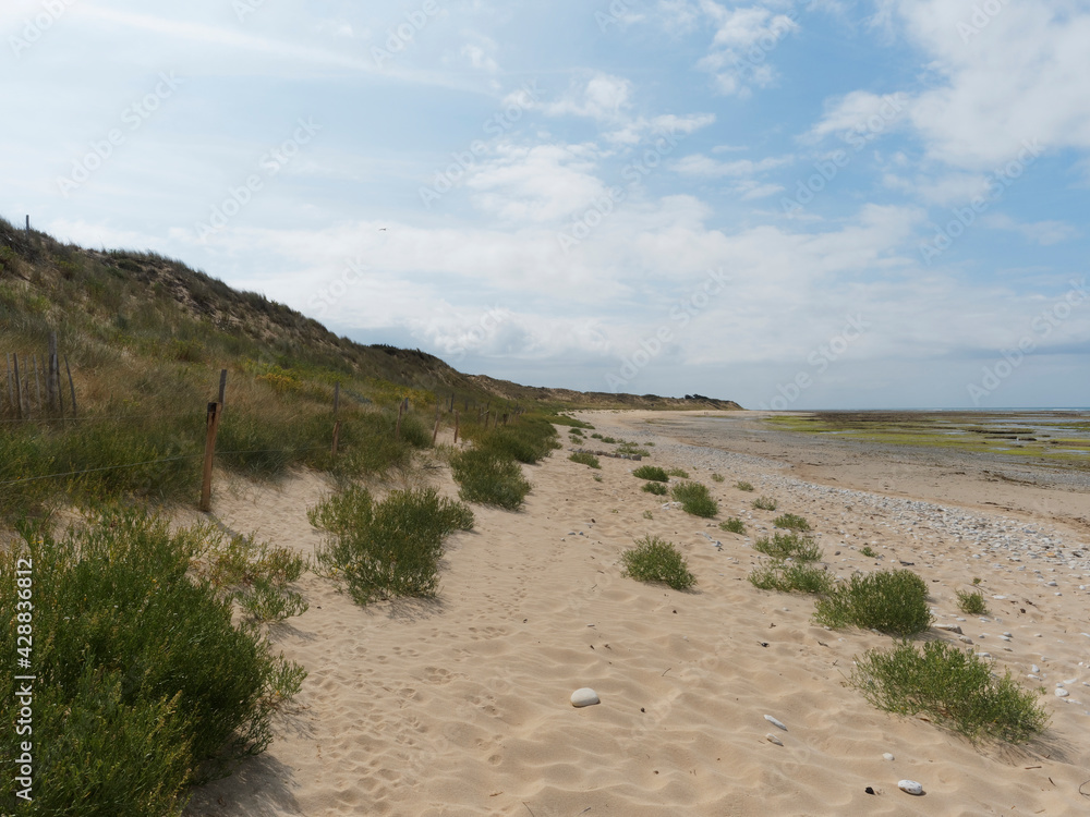 Stockfoto Île de Ré dans le Golfe de Gascogne. Dunes, plages de la ...