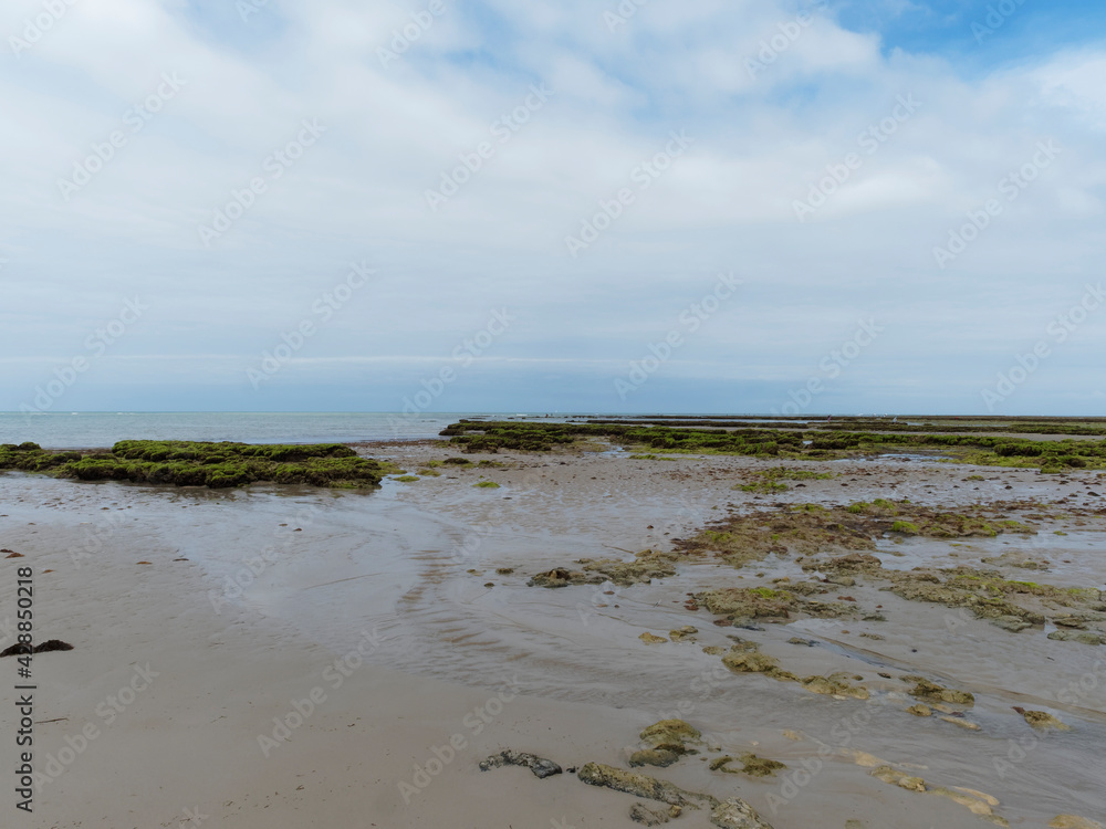 Paysages du littoral Nord-Ouest de l'Île de Ré dans le Golfe de ...