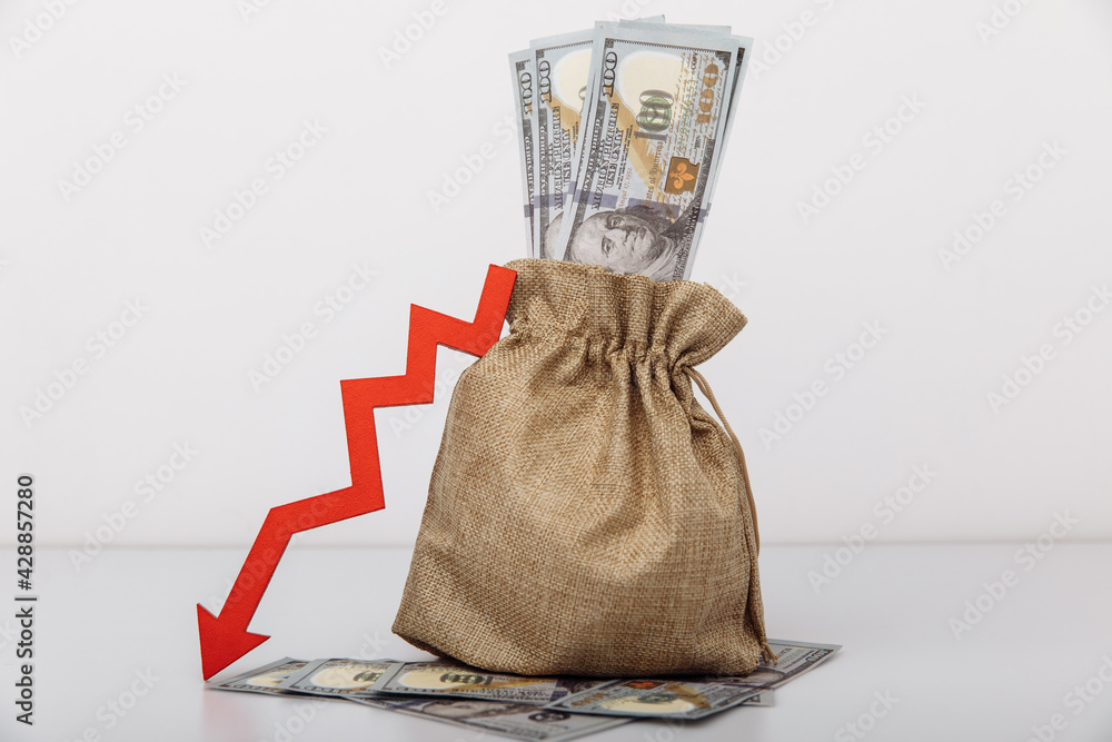 Money bag and red down arrow isolated on white background. Economic ...