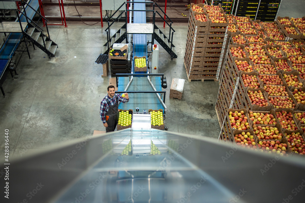 Top view of worker working at production line of organic food factory ...