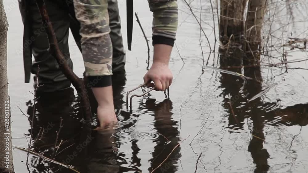 A male hunter sets a metal trap for a beaver. Beaver hunting in a trap ...