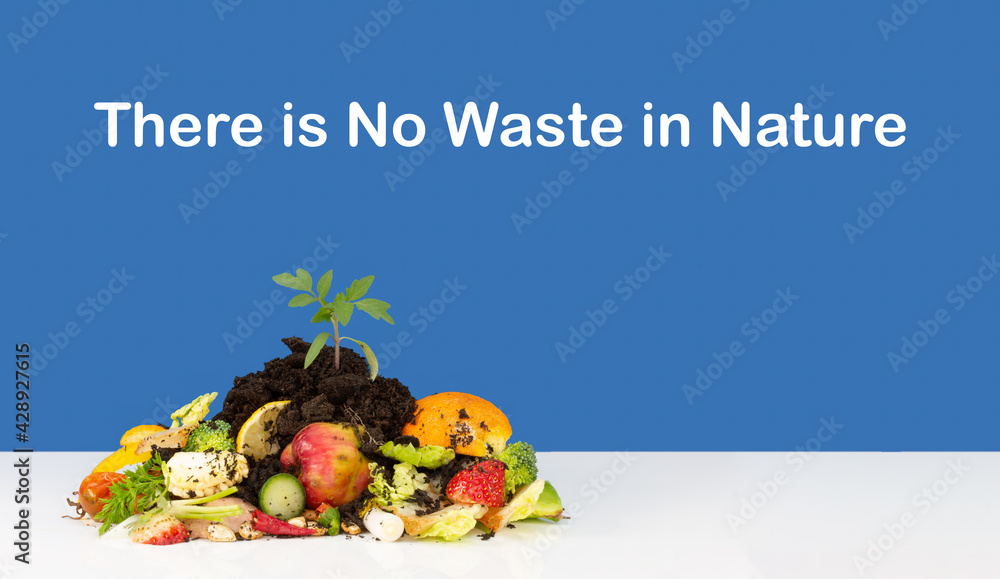 stop food waste with compost and plant growing in pile, there is no ...