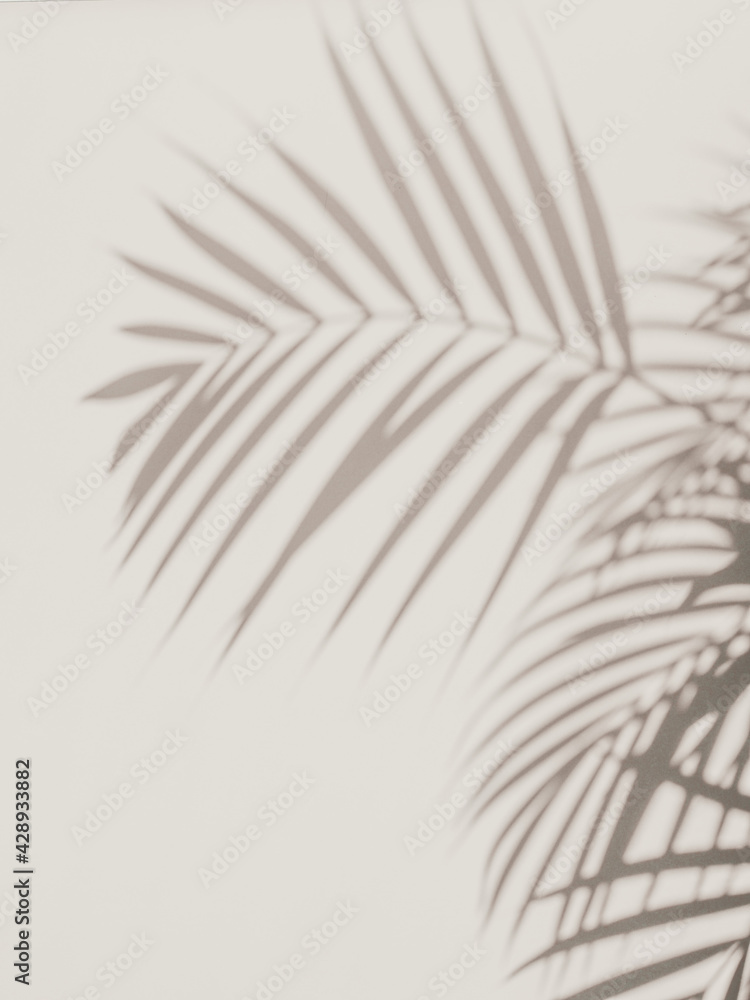 Abstract neutral nature background with sunlight and shadow of tropical ...