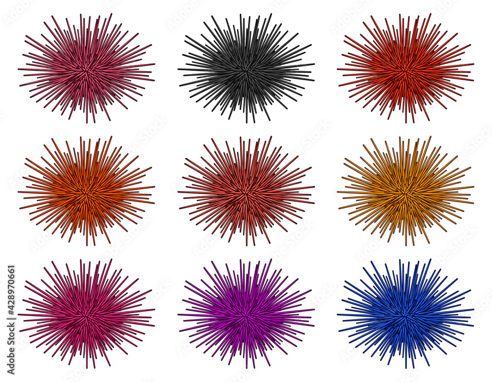 Sea urchin illustration, drawing, engraving, ink, line art, vector. Sea ...